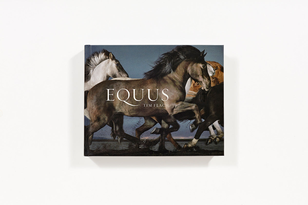 Abrams - Equus by Tim Flach – Sunset & Co.